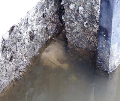 Seawall Seam Repair - Seawall Savers of SWFL