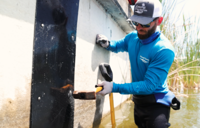 Seawall Savers: Southwest Florida's Seawall Repair Expert